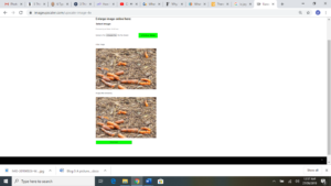 How to Convert Low Resolution Pictures to High Resolution