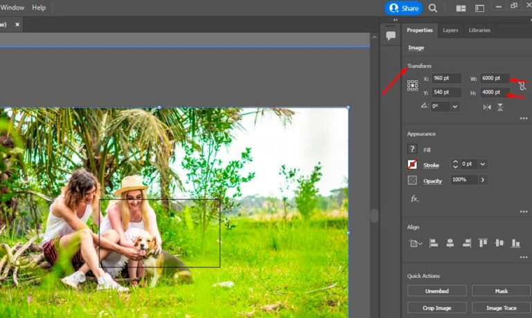How to Resize Image in Adobe Illustrator | 3 Best Way