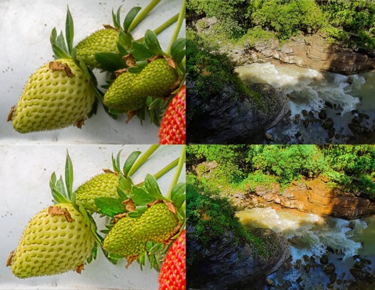 How to Enhance a Photo