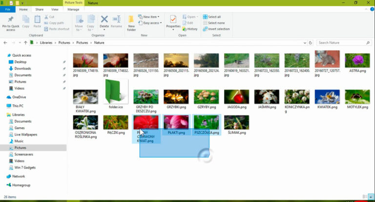 What is a PNG file? How to Open Convert and Work with PNG?