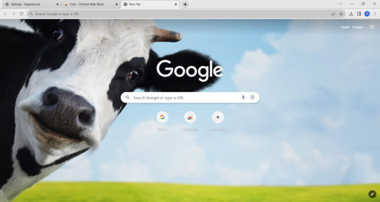 How to Change Google Background